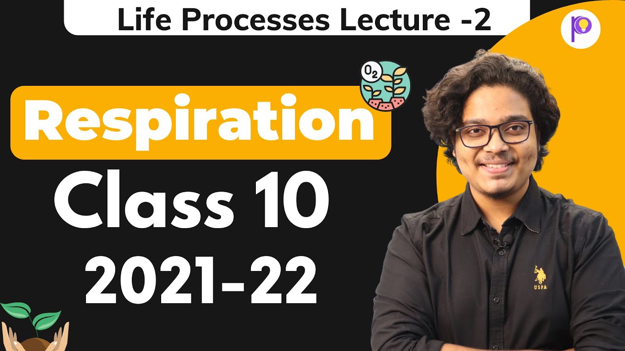 Respiration Class 10 | Life Processes Class 10 2021-22 | Biology - YouTube