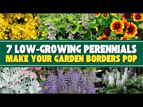 What Perennials Are Hardy In Iowa And Repel Pests