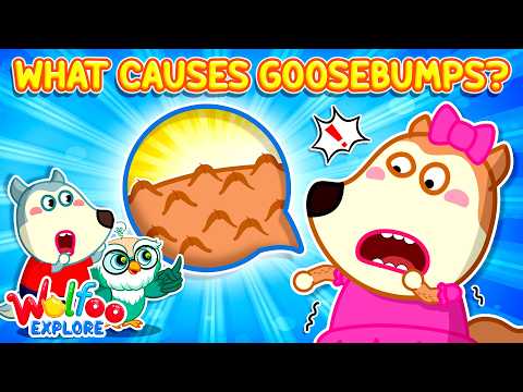 Why Do We Get Goosebumps? 🥶 🔍 Wolfoo Explore - Human Body | Educational Videos