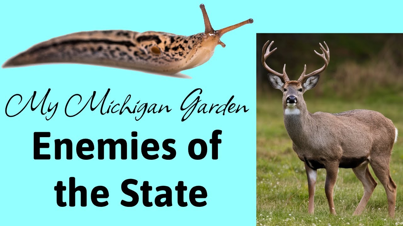 MMG - Enemies of the State - YouTube