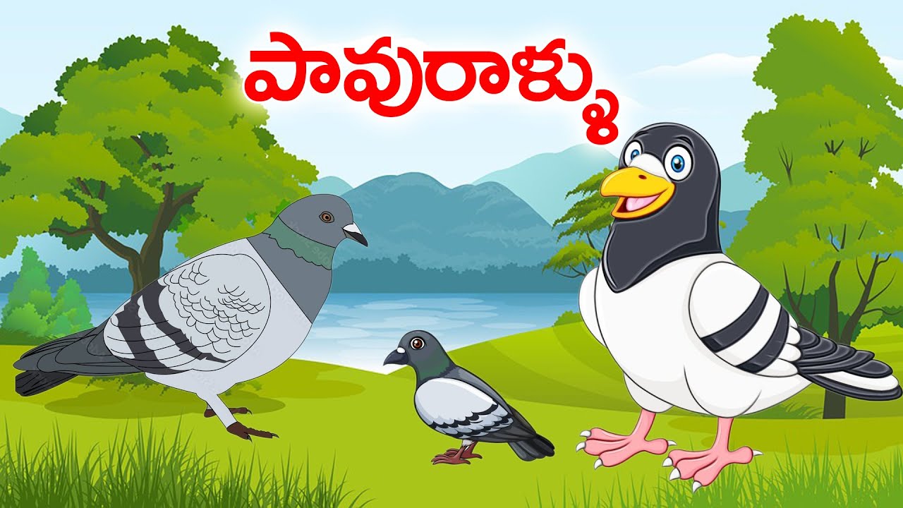 పావురాలు రాళ్ళు | paavuralu raallu | animated cartoon telugu stories ...