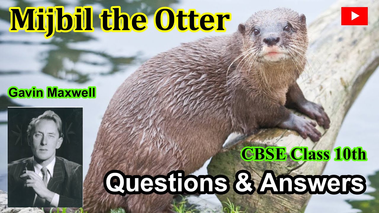 Class 10 Lesson. 8 Mijbill the Otter | First Flight | Important ...