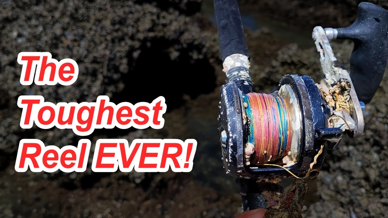 Indestructible Fishing Reel Reclaimed From The Ocean! - YouTube