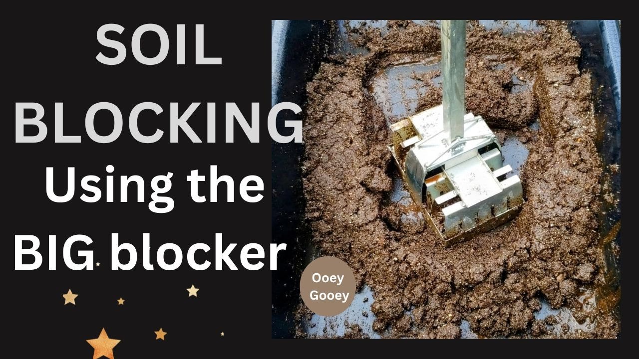 Working With Soil Blocks Again! - YouTube