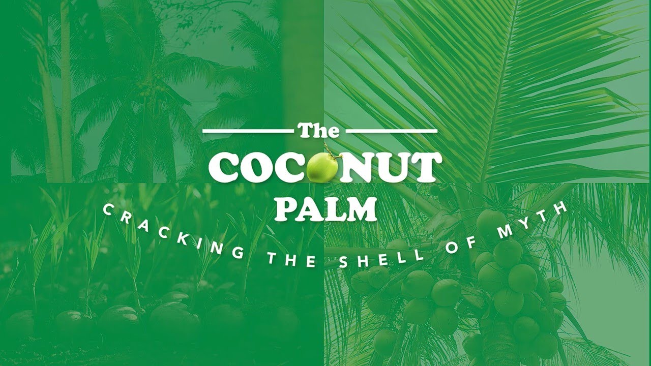 Cracking the Shell of the Myth: Coconut is Not a Tree Nut and Not a ...