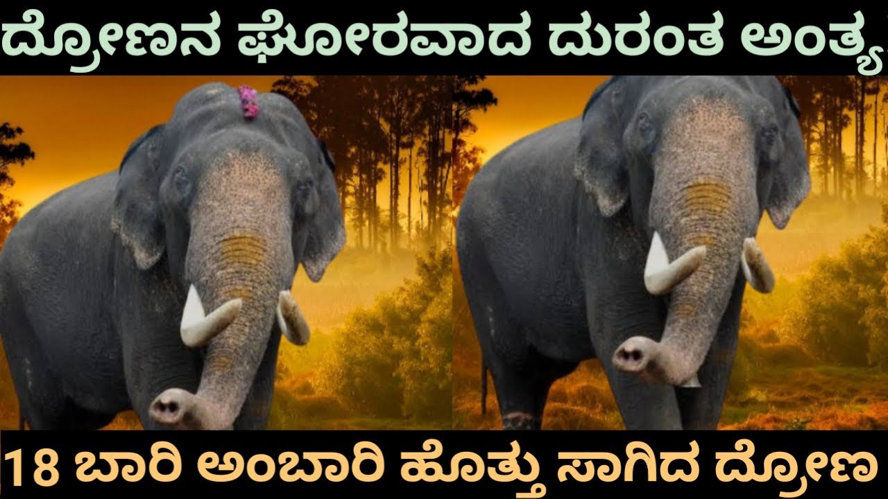 ದ್ರೋಣ ಹದಿನೆಂಟು ಬಾರಿ ಚಿನ್ನದ ಅಂಬಾರಿಯನ್ನು ಹೊತ್ತು ಸಾಗಿದ ಮಹಾನ್ ವೀರ ಜೀವನ ...