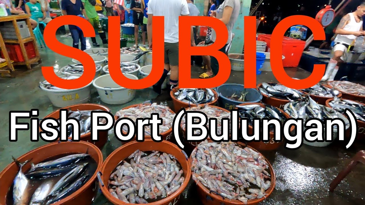 SUBIC FISHPORT | Baraca, Subic, Zambales | ferdiesTRAVELvlog - YouTube