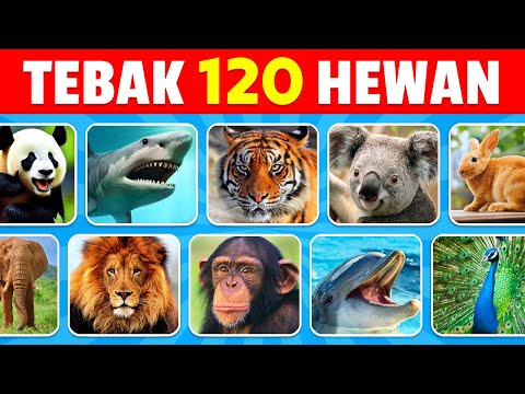 Tebak 120 Hewan dalam 3 Detik | Mudah, Sedang, Sulit, Mustahil