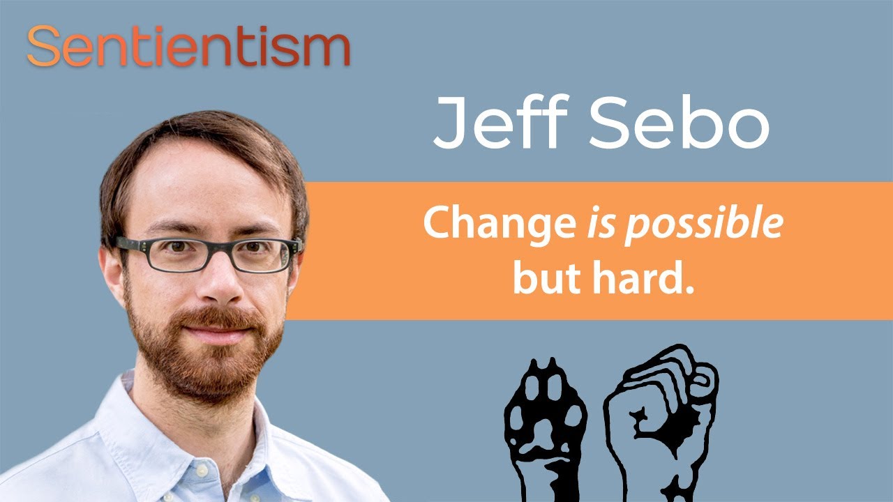 "Change is possible but hard" - Jeff Sebo - Author, Activist, Academic ...