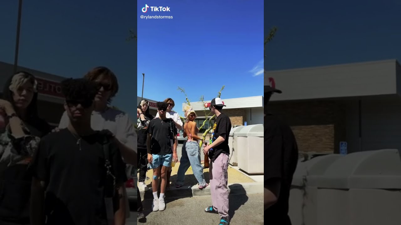 Larray standing still in Ryland Storms' TikTok ft. Nikita Dragun, Ravon ...