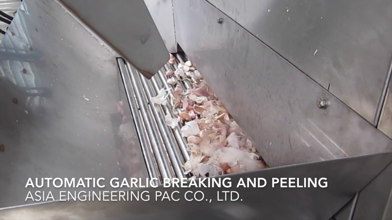 เครื่องแกะกลีบและปอกเปลือกกระเทียม อัตโนมัติ AUTOMATIC GARLIC BREAKING ...