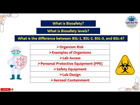 What is the difference between BSL-1, BSL-2, BSL-3 and BSL-4 ...