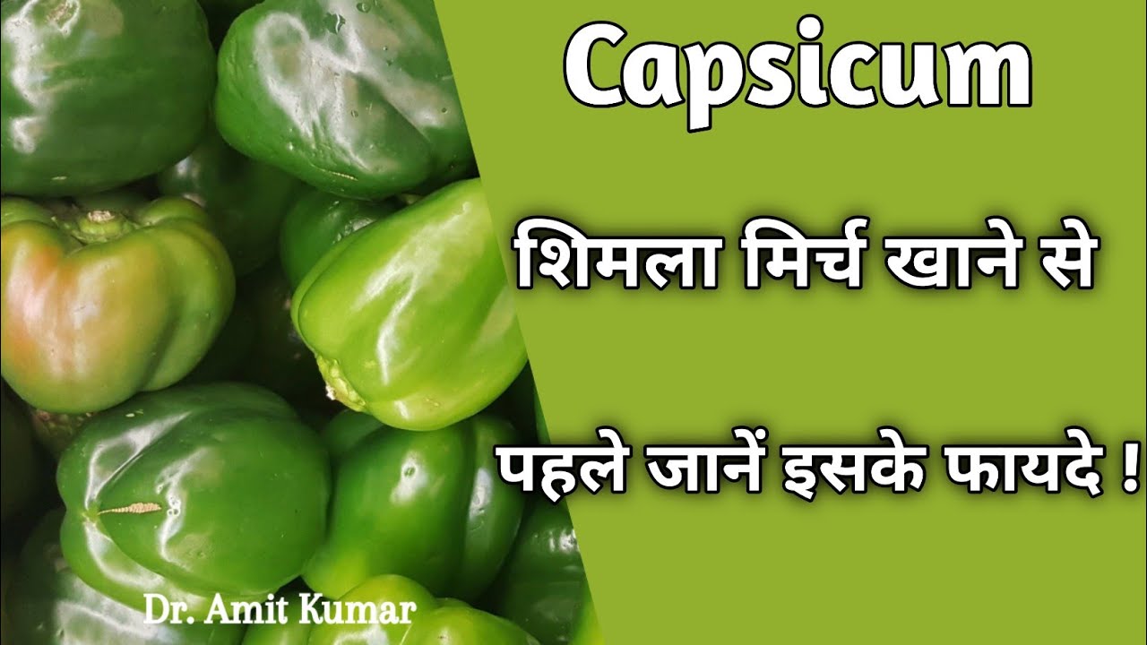 Capsicum | Shimla Mirch Ke Fayde ! Shimla Mirch Kin Kin Bimariyon Mein ...