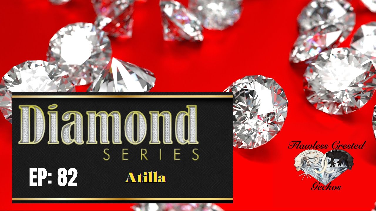 Diamond Series: Ep 82 Atilla - YouTube