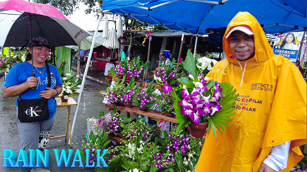 RAIN, FLOWERS AND CANDLES | A Rain-Drizzled Day at the MANILA CEMETERY ...