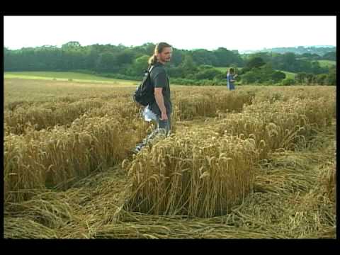 Exploring the Crabwood Alien Crop Circle - YouTube