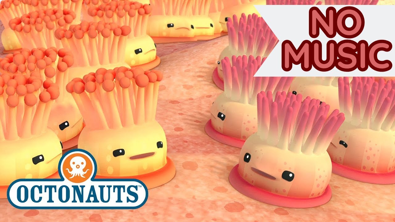 Octonauts - The Enemy Anemones - [No Music] - YouTube