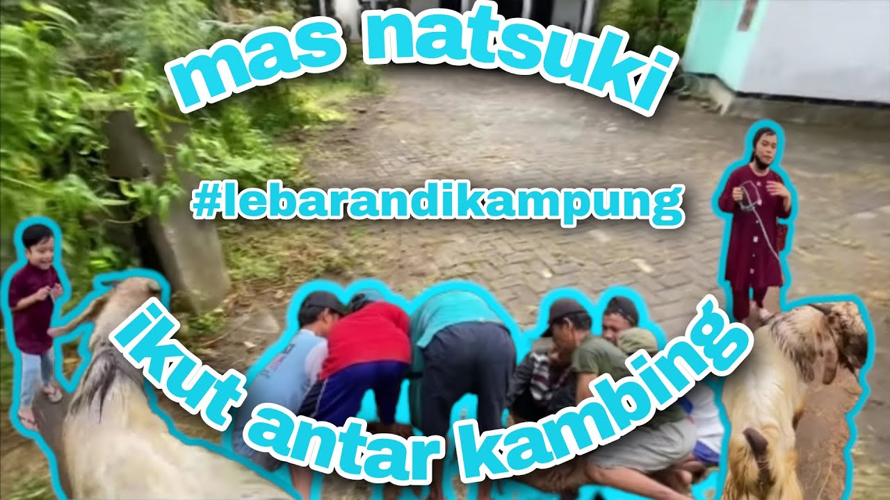 MAS NATSUKI IKUT ANTAR KAMBING#LEBARAN DIKAMPUNG - YouTube