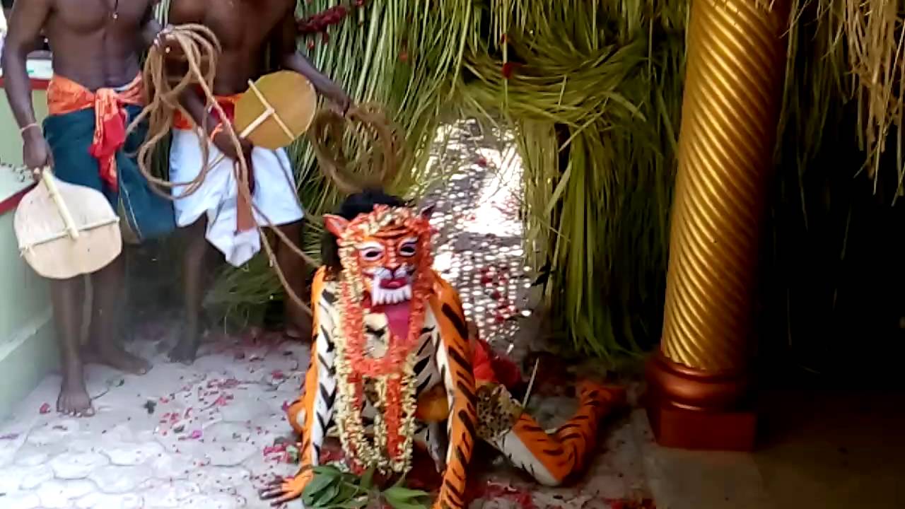 Kapu PILI Kola 2016 - YouTube