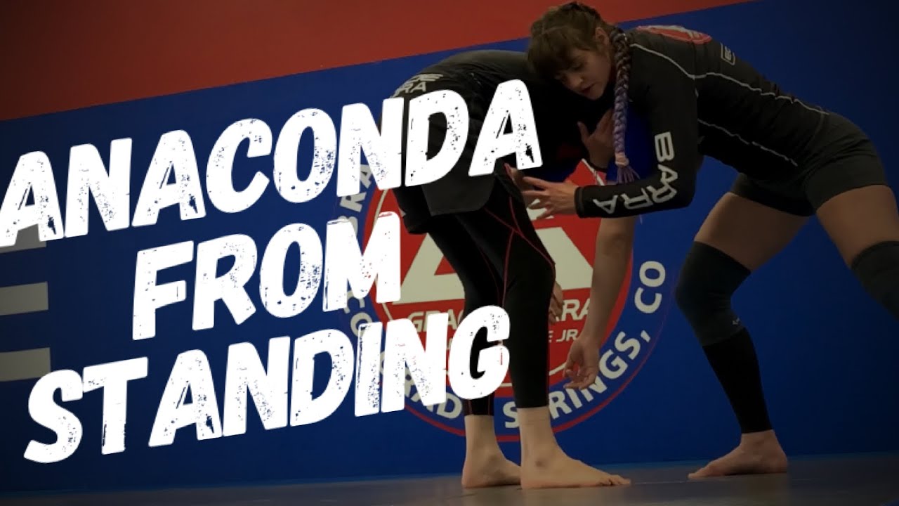 Anaconda Brazilian Jiu-Jitsu North Bergen at Harry Leslie blog