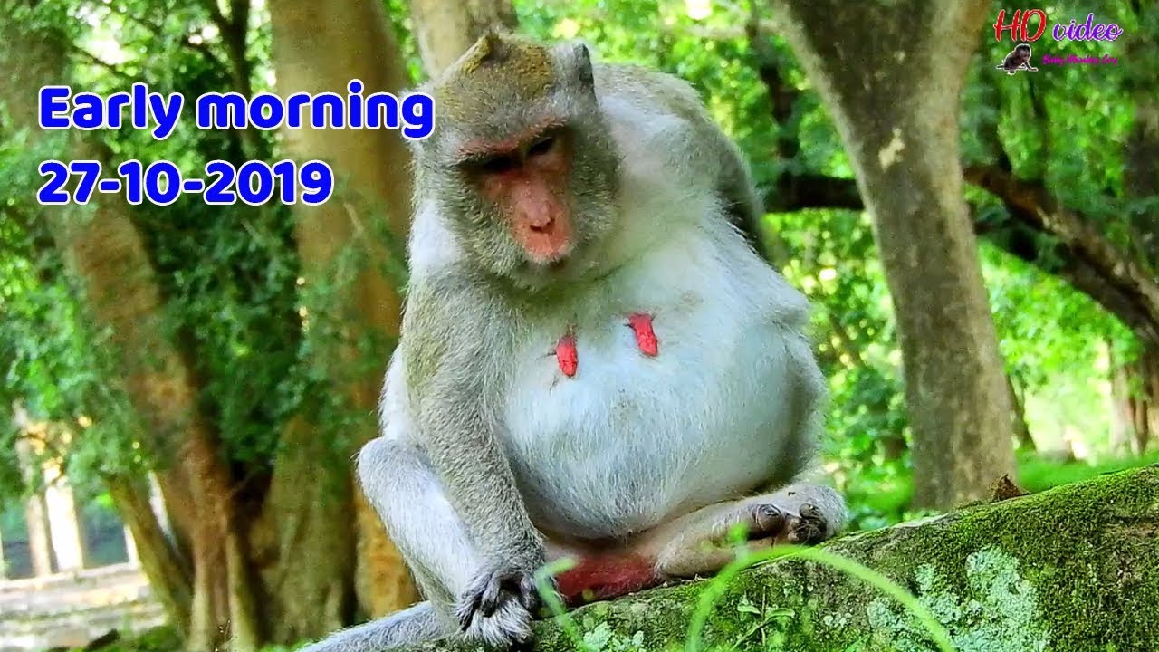 Good morning Jane ! Visit poor Jane early morning 27-10-19 cuz can't ...