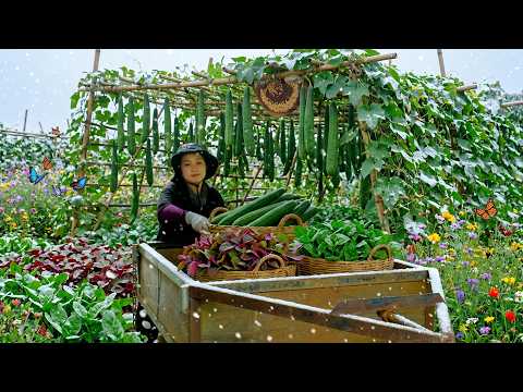 Harvest A Cart Of Luffa, Malabar Spinach,Amaranth To Sell At The Market-Cook Daily, Living On A Farm