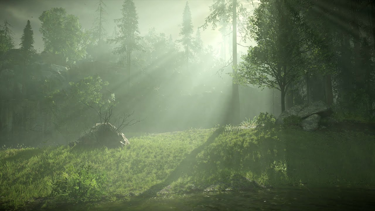 Shadow of the Colossus | Video Game Ambience | Forest Grove - YouTube