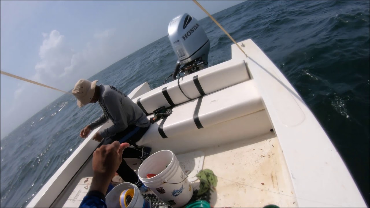 Moruga Trinidad Fishing Expedition - YouTube