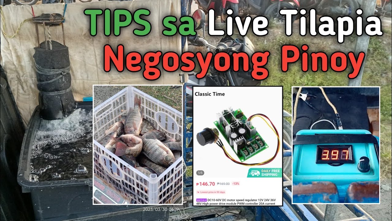 TIPS para sa Live Tilapia Negosyong Pinoy | Tipid sa Battery, Iwas init ...