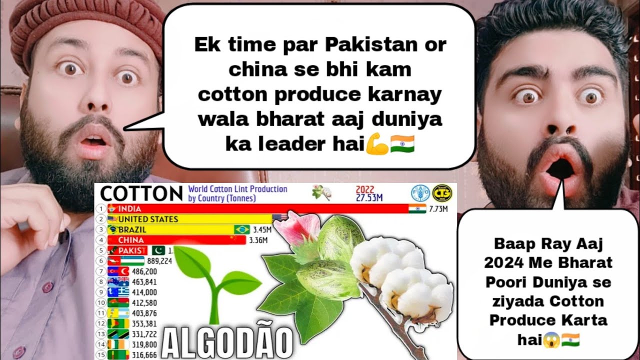 The Largest Cotton Producing Countries In The World Since 1960 To 2024 the-largest-cotton-producing-countries-in-the-world-since-1960-to-2024