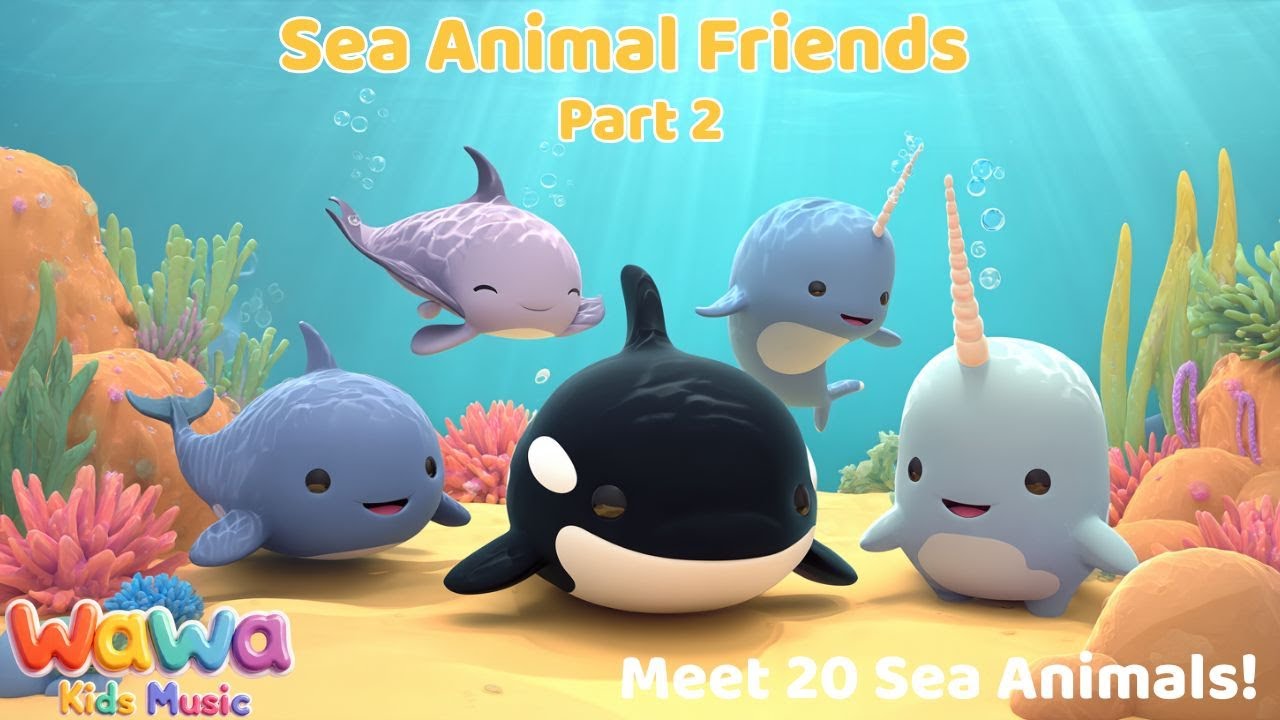 Sea Animal Friends – Part 2 🐋 | Learn 20 Sea Animals | Wawa Kids Music ...