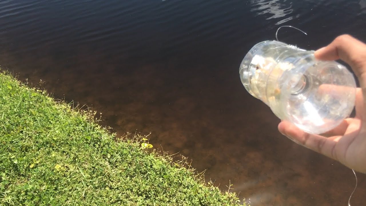 DIY Minnow Trap - YouTube