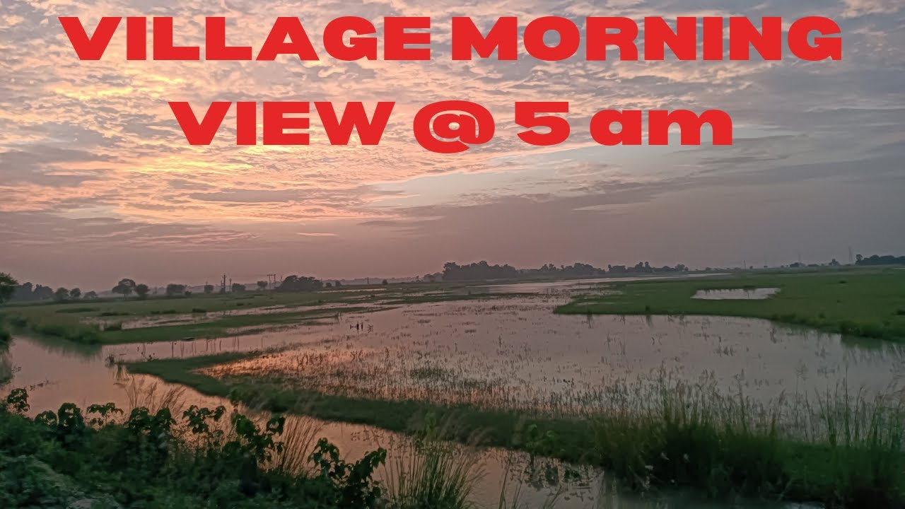 Village Morning View @ 5am || Village me Morning ka View @ 5am - YouTube
