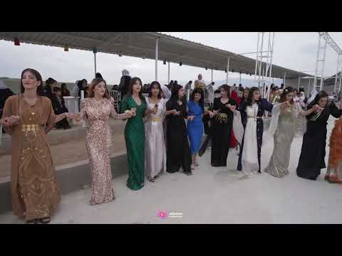 Feyzi Demir Dügünü Part 5 ( Rojhat Ciziri ) 2025