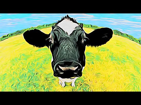 children videos cow sounds pictures video mooing sound for cows effect ...