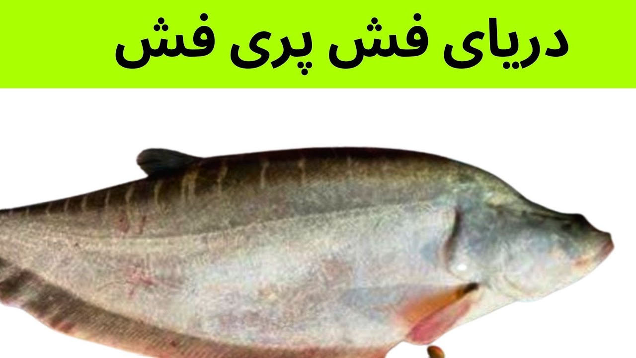 Pari fish recipe | pari fish banane ka tarika - YouTube