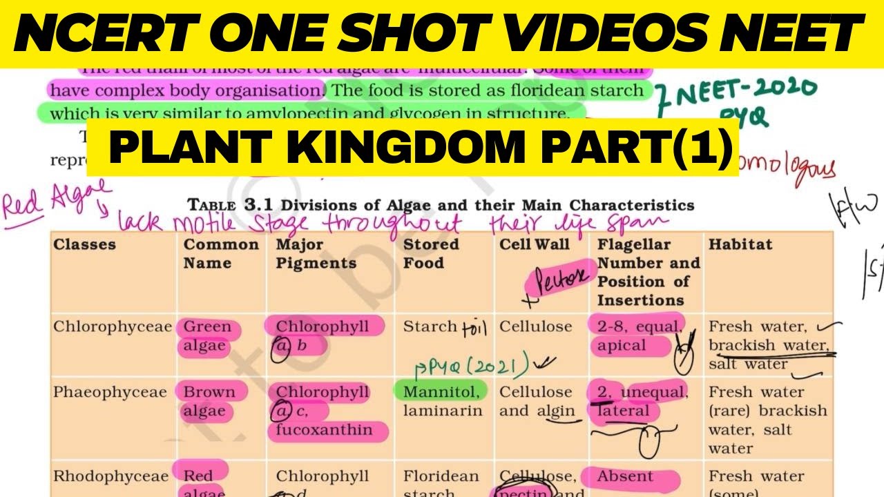 PLANT KINGDOM Class 11 NCERT IN ONE SHOT (Part 1) All Theory, PYQ'S and ...