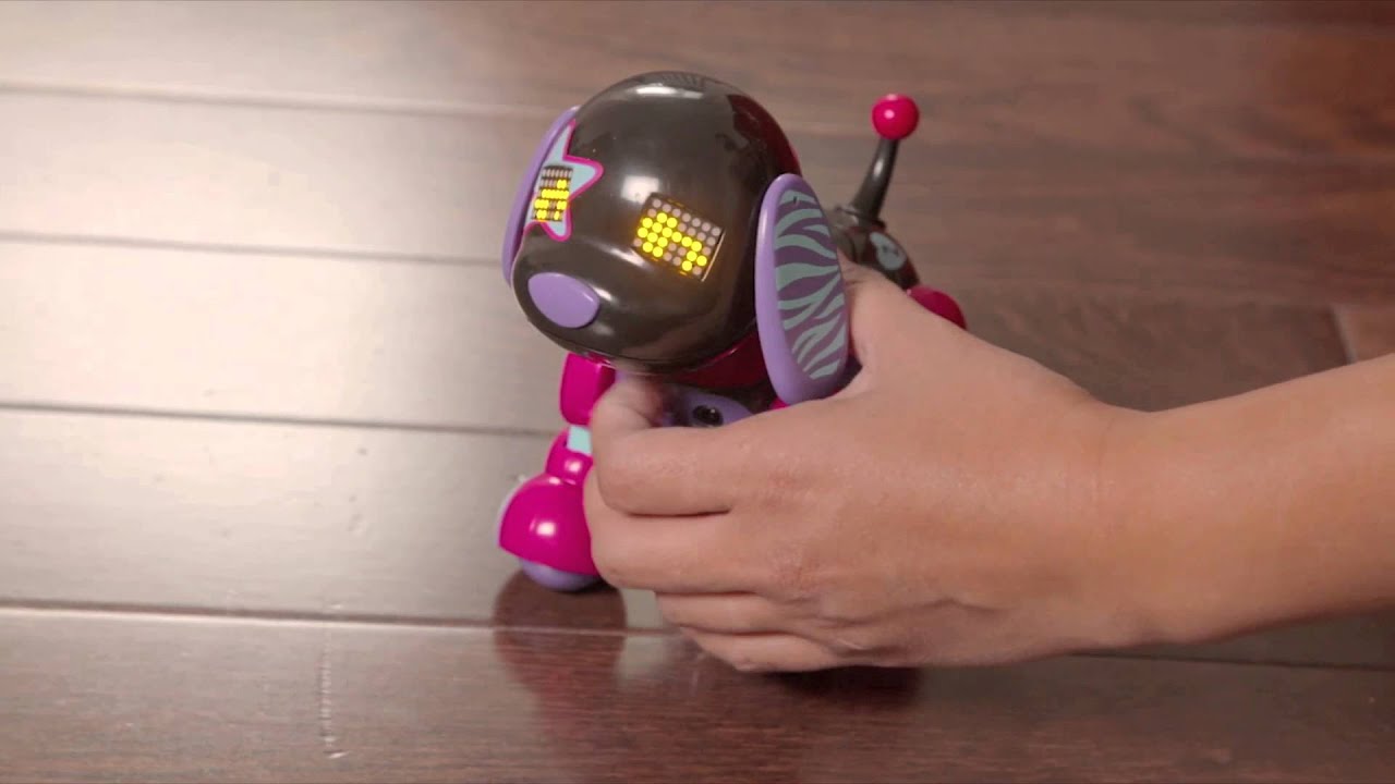 Zoomer | Zoomer Zuppies Zuppy Love | Autonomous Mode - YouTube