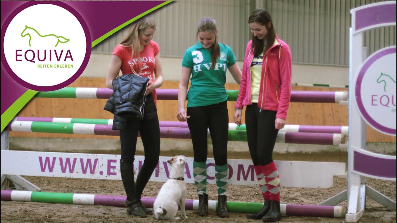 Reitmode - die Sommertrends bei EQUIVA - YouTube