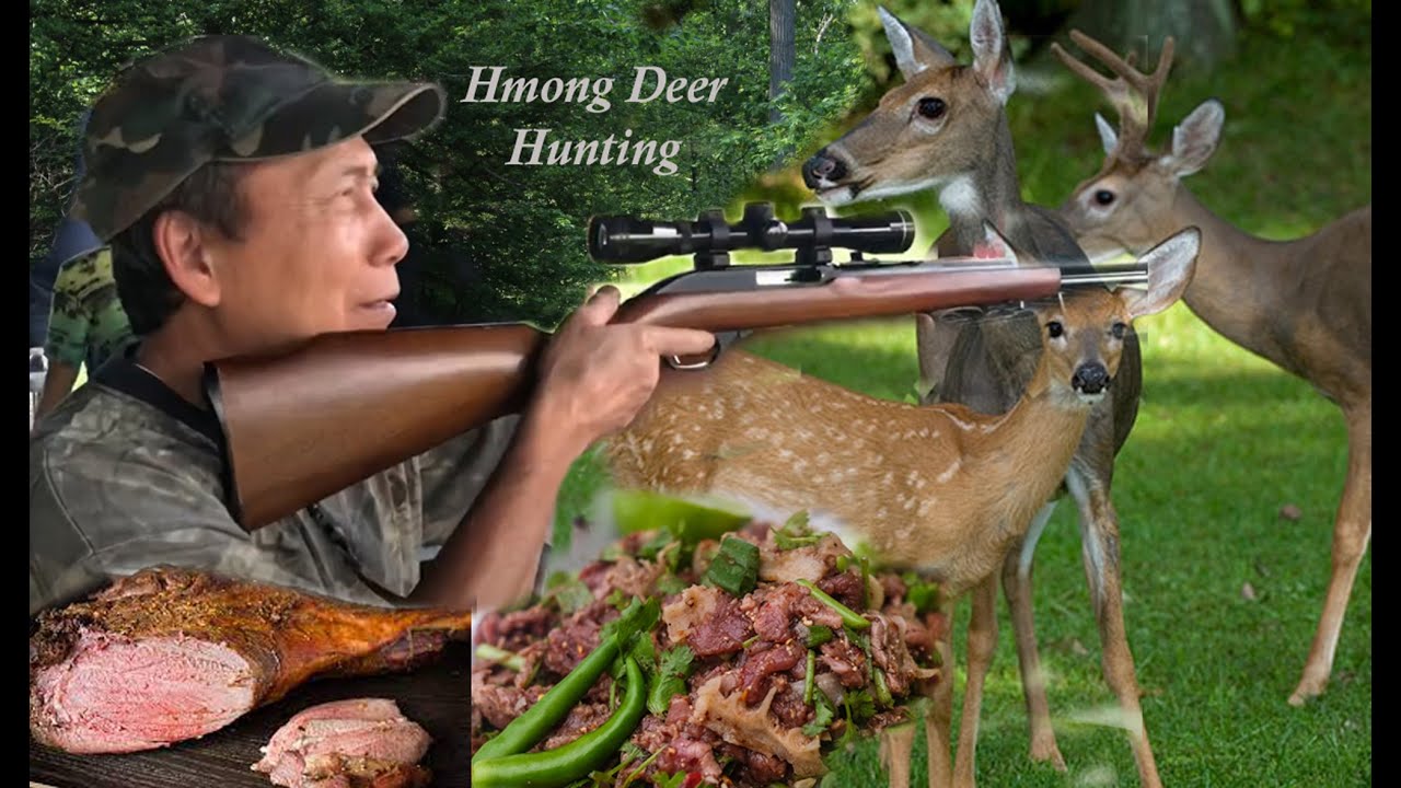 Hmong Wisdom : Great Outdoor Family Hunting and Camping ( Hmong / Hmoob ...