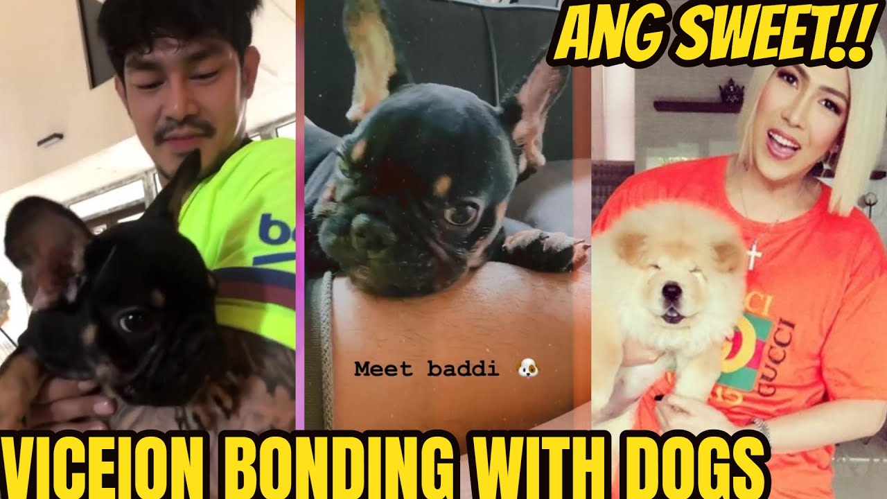 Vice Ganda Ion Perez BONDING kasama ang DOGS ni Meme Vice! ViceIon ...
