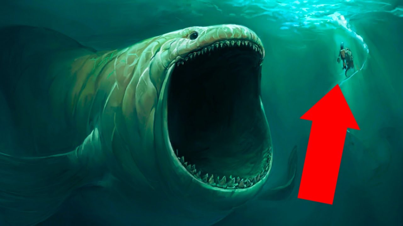 O MISTERIOSO MAR DO DIABO - YouTube