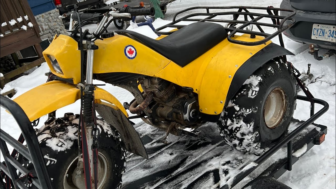 Yamaha YTM 200e Oil Change - YouTube