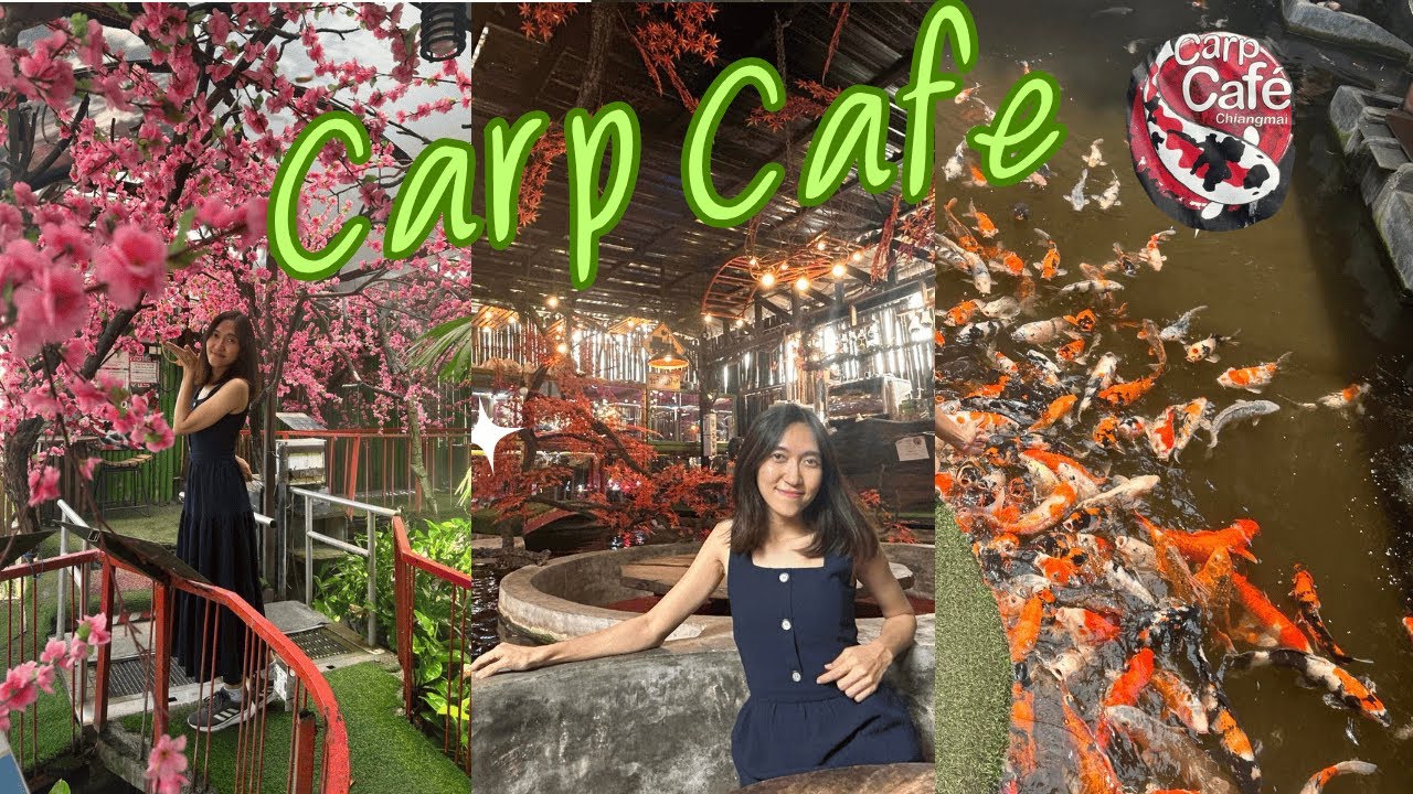 Chiang Mai Carp Cafe with AZit! - YouTube