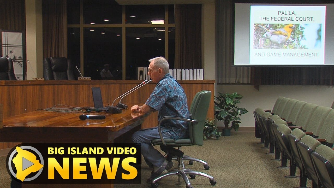 Hoeflinger: Sheep Can Coexist With Palila On Mauna Kea (Jan. 29, 2018 ...