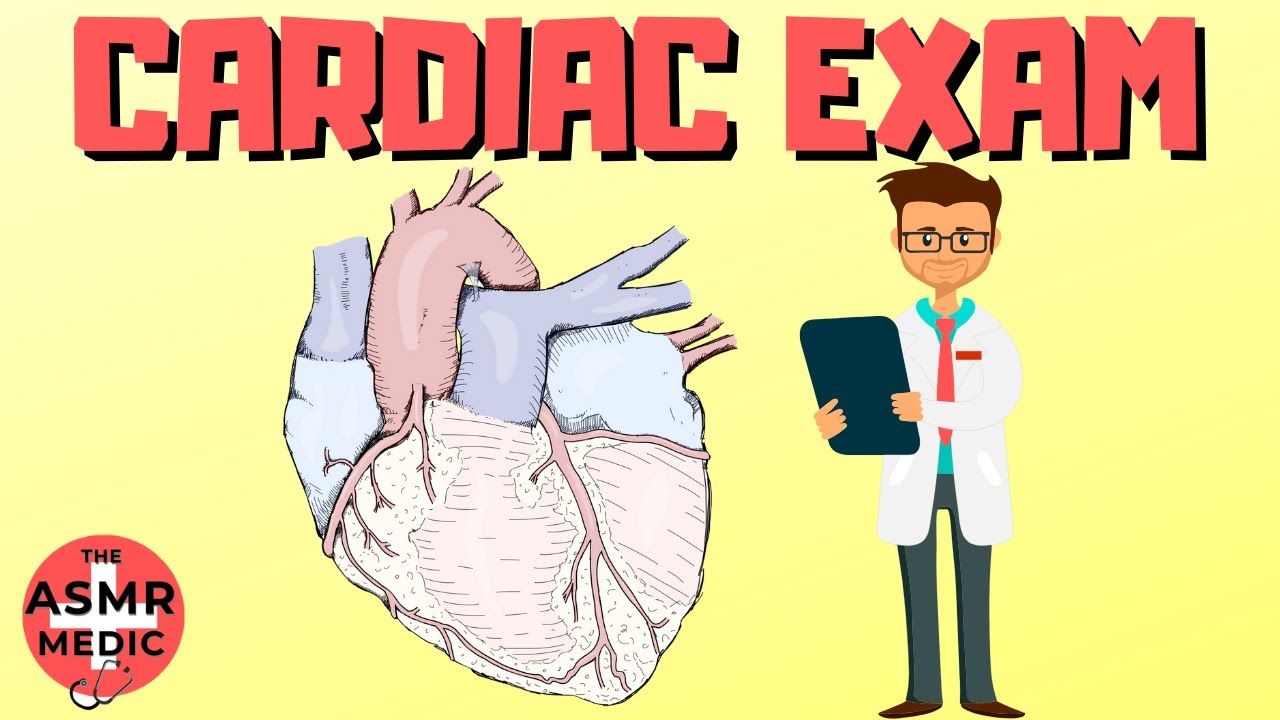 👨‍⚕️ [ASMR] How to perform a Cardiovascular Examination OSCE | Clinical ...