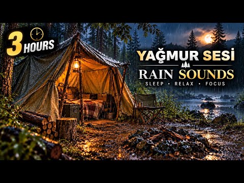3 Saat Yağmur Sesi | Ormanda Çadırda Huzurlu Bir Gece ⛺ | Rain Sounds for Sleep