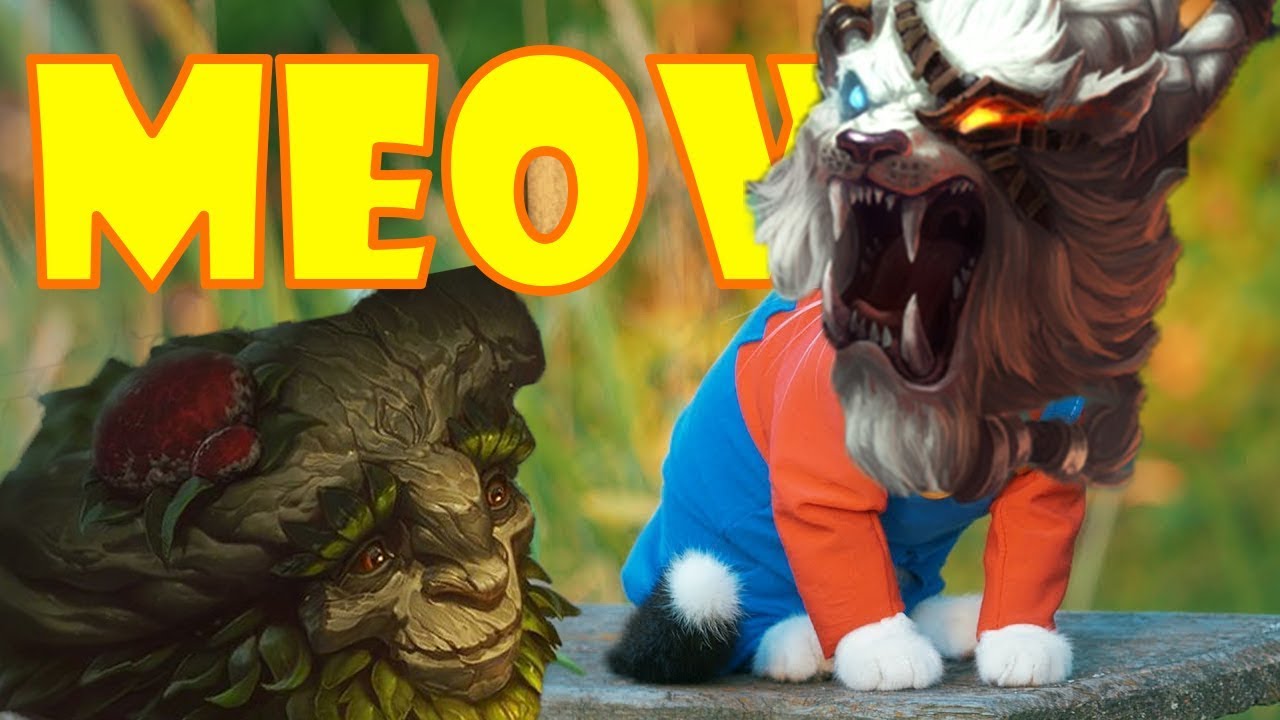 [LoL] MEOW.GG - YouTube