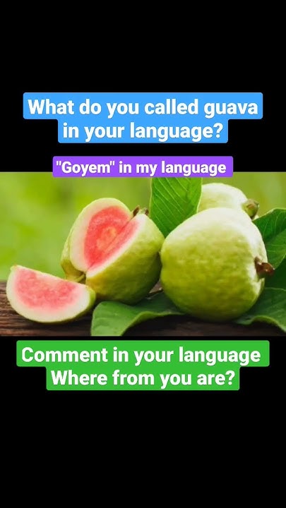 What do you called guava in your language? #shorts #guava #country_meme #comment_in_your ...