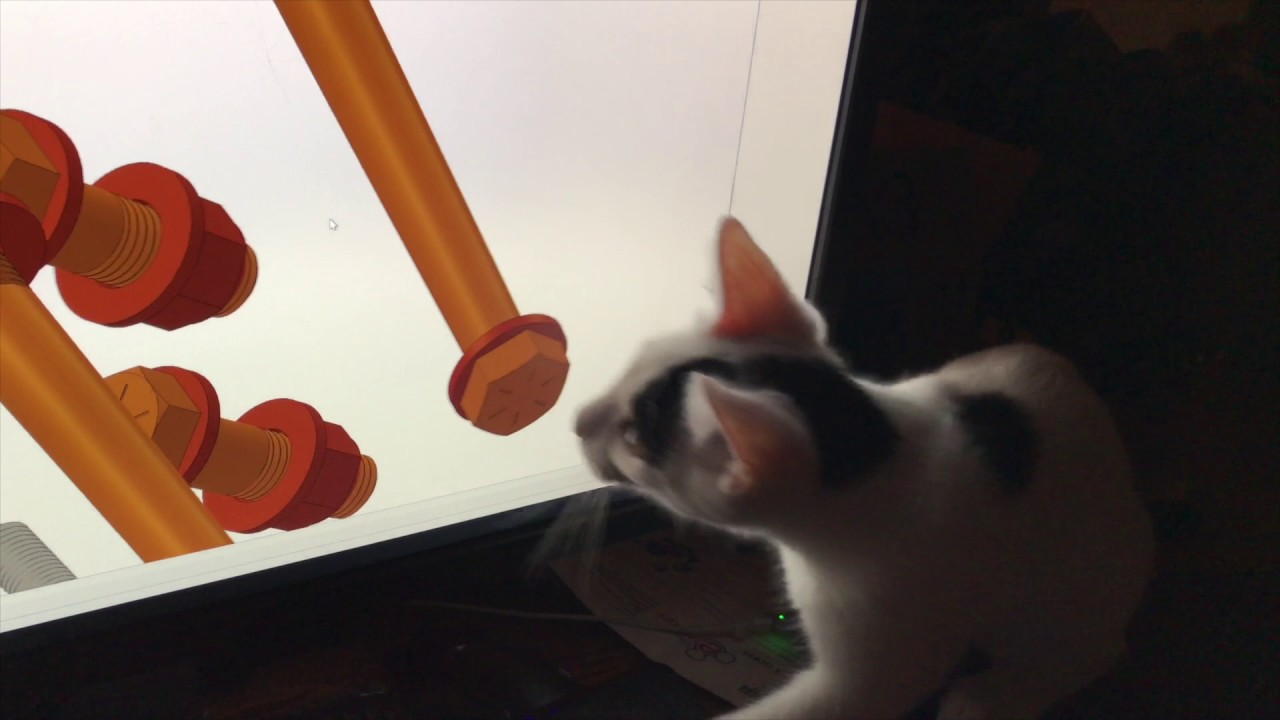 Kitten helps with Solidworks - YouTube